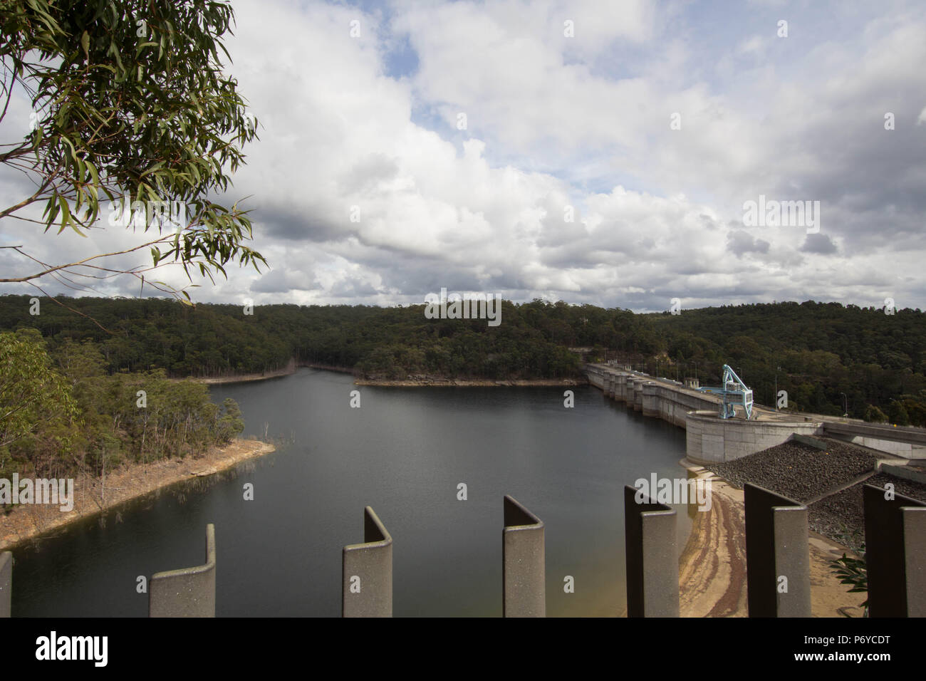 Roses, Tulip and Dam Stock Photo - Alamy