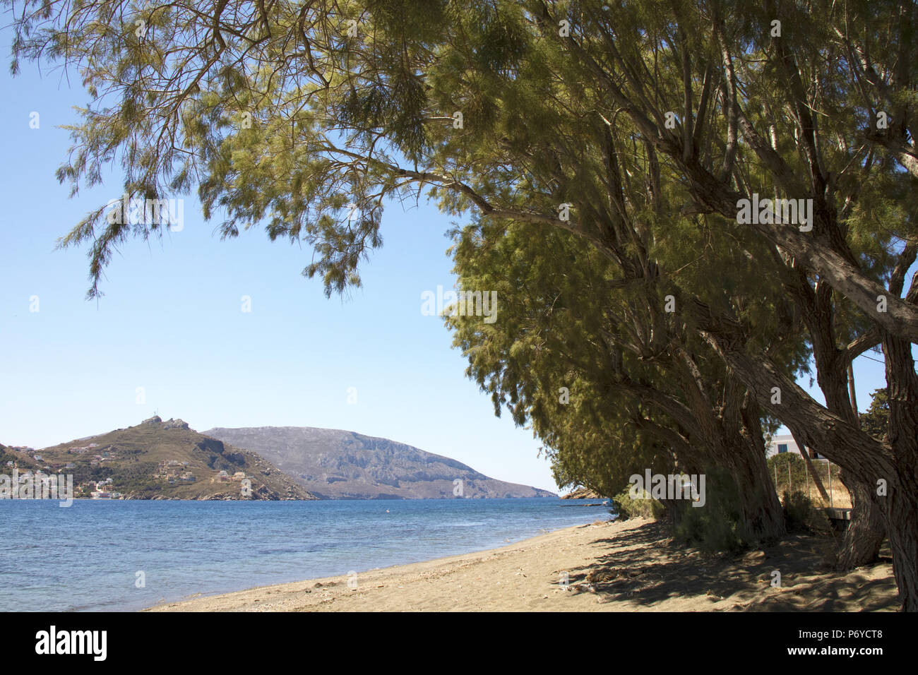 Tamarisk tree on a beach hi-res stock photography and images - Alamy