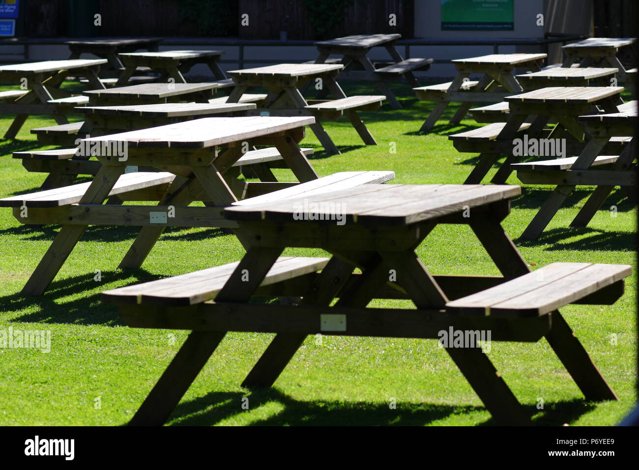 A picnic area at Paradise Park where birds fly among visitors during a ...