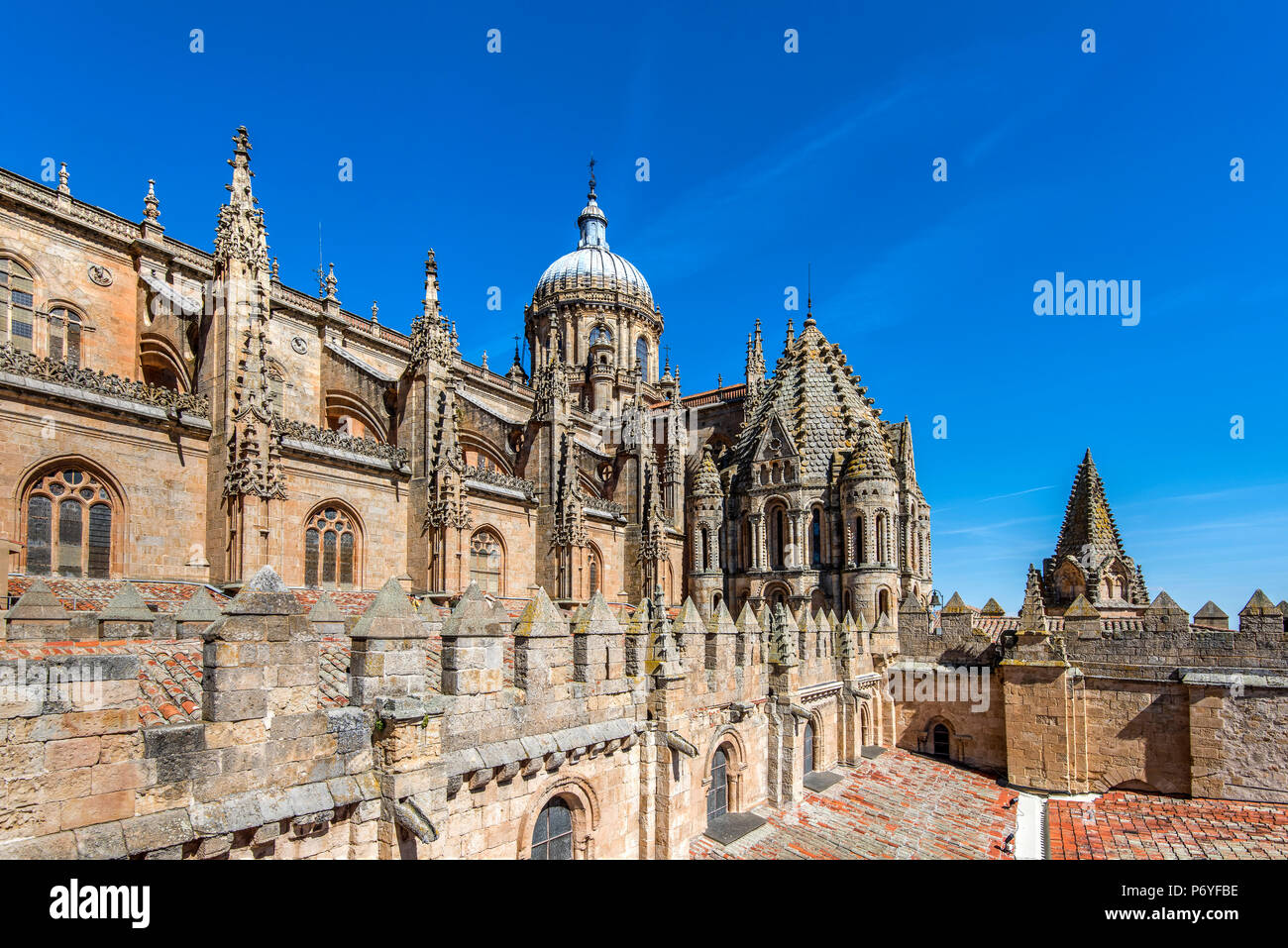 Old Cathedral, Salamanca, Castile and Leon, Spain Stock Photo - Alamy