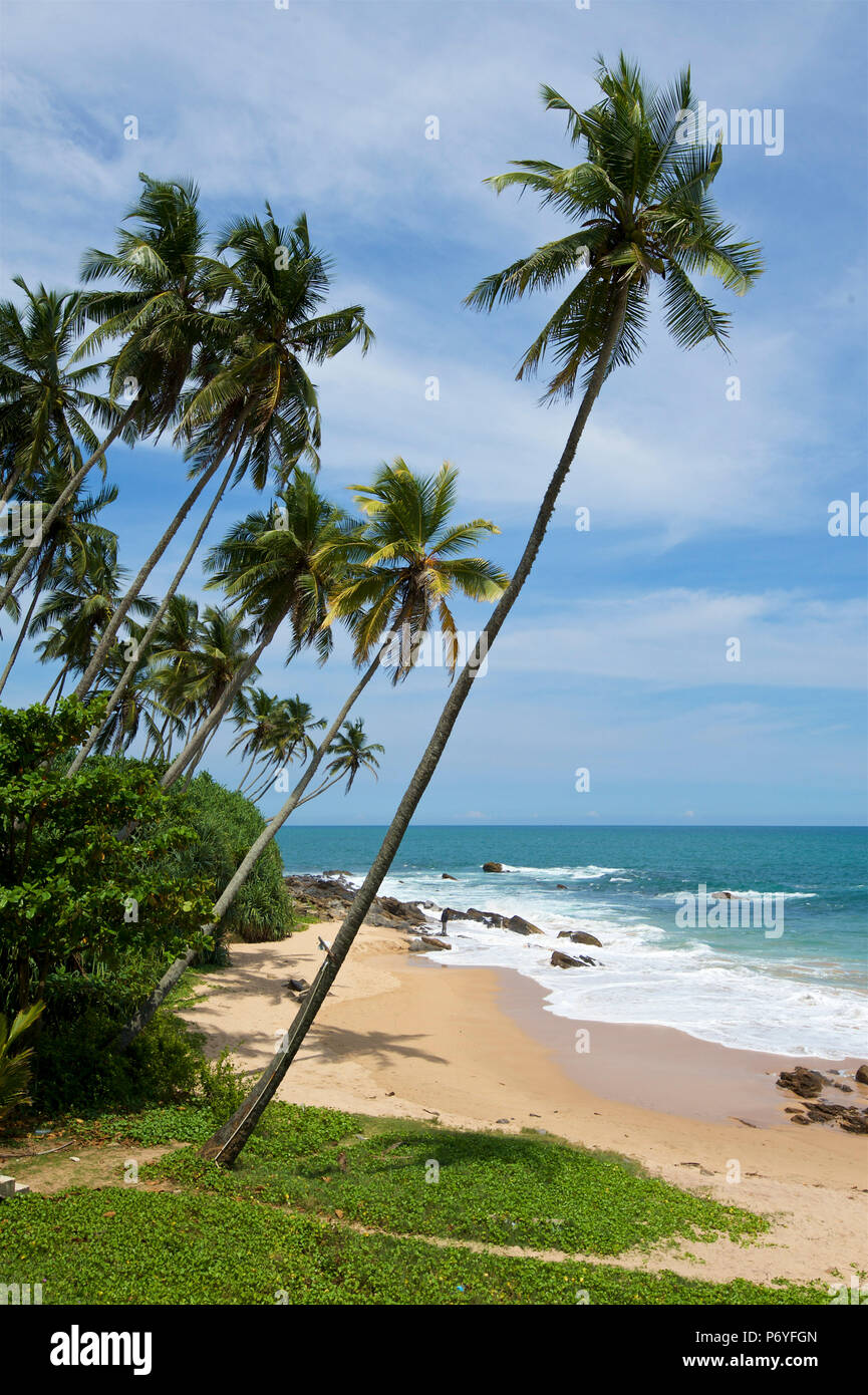 Beach, Tangalla, Sri Lanka Stock Photo - Alamy