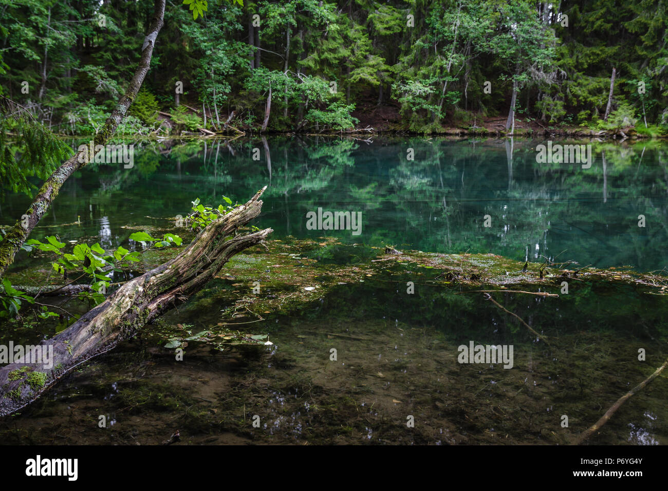 Natural spring waters hi-res stock photography and images - Alamy
