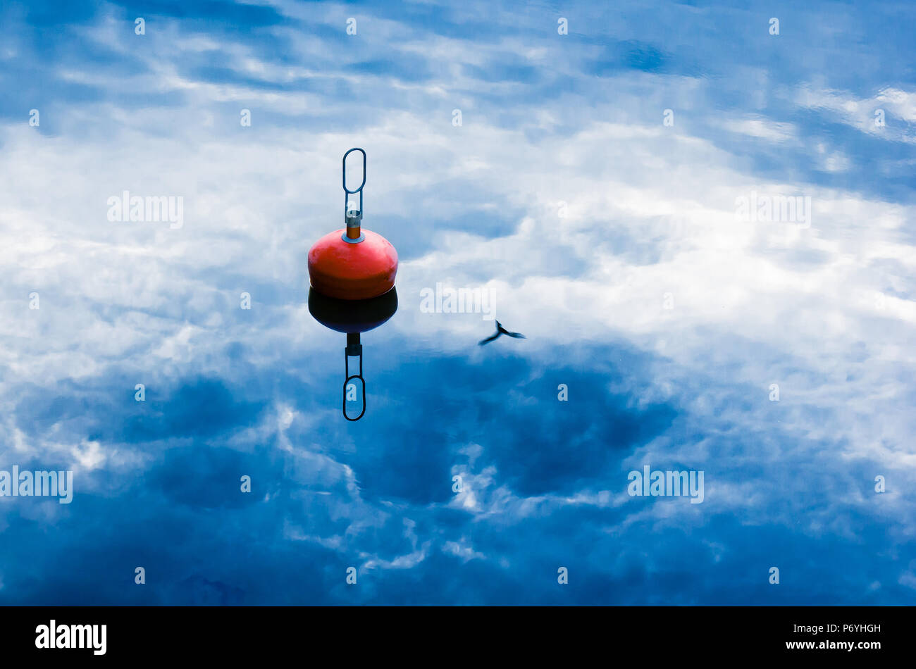 Red buoy floating on sea with reflection of the sky and flying bird ...