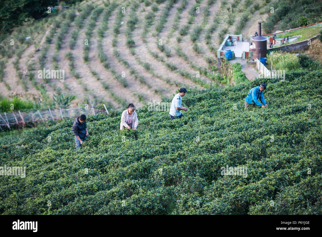 Cable,car,up,to,Maokong,hill,above,Taipei,Taipei City,with,tea ...