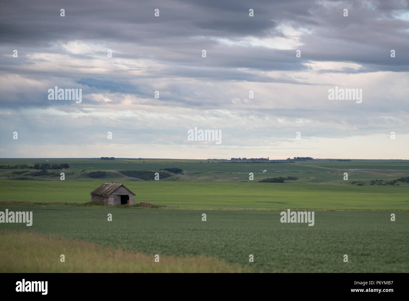 Alberta grassland hi-res stock photography and images - Alamy