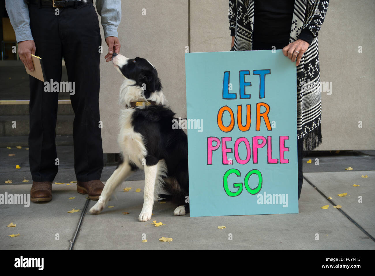 PORTLAND, OREGON OCTOBER 05 2016 A dog with a sign held by Protesters ...