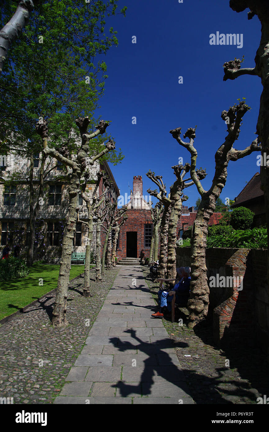 Yorkshire stone rose hi-res stock photography and images - Alamy