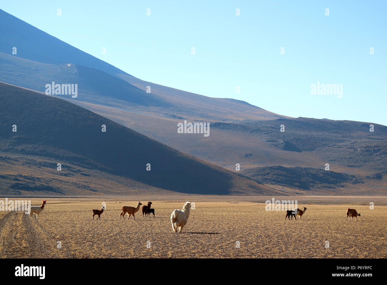 Andes foothills hi-res stock photography and images - Alamy