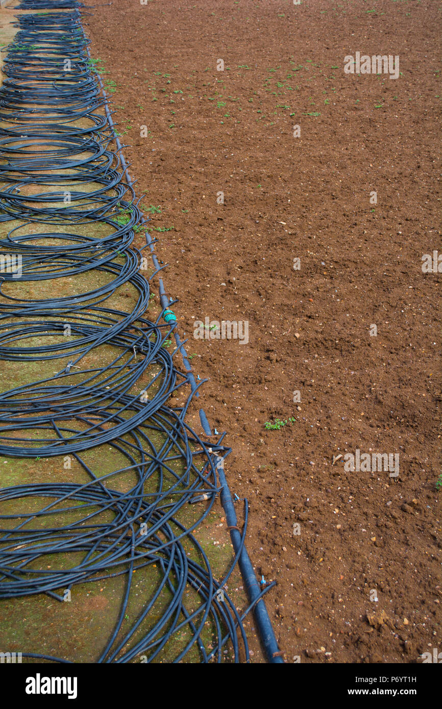 Drip System Stock Photos & Drip System Stock Images - Alamy