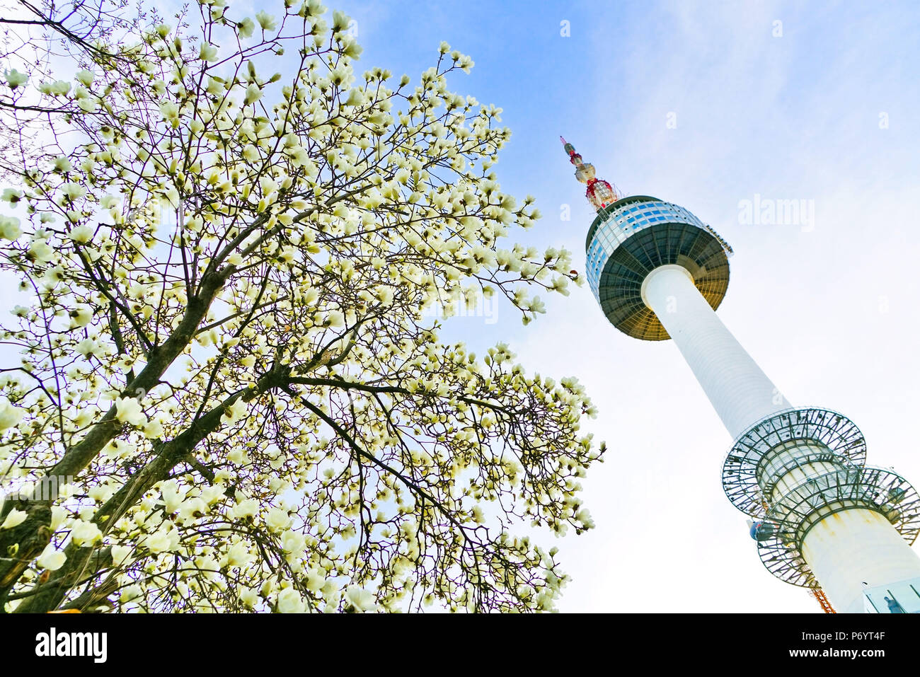 View of the Seoul Tower and some flowers in spring in Seoul, South ...