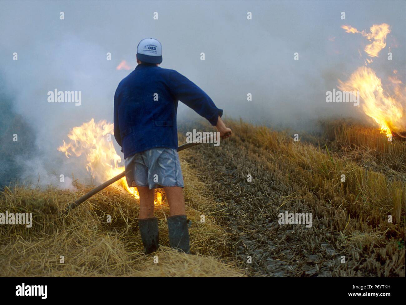 burn of the stubbles in a rice field after the harvest near Lomello ...