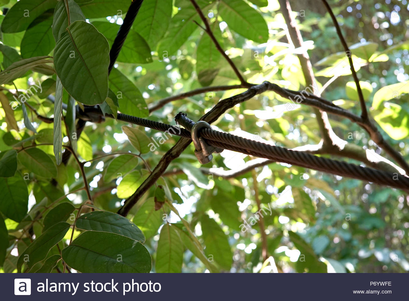 Fix Rope High Resolution Stock Photography and Images - Alamy
