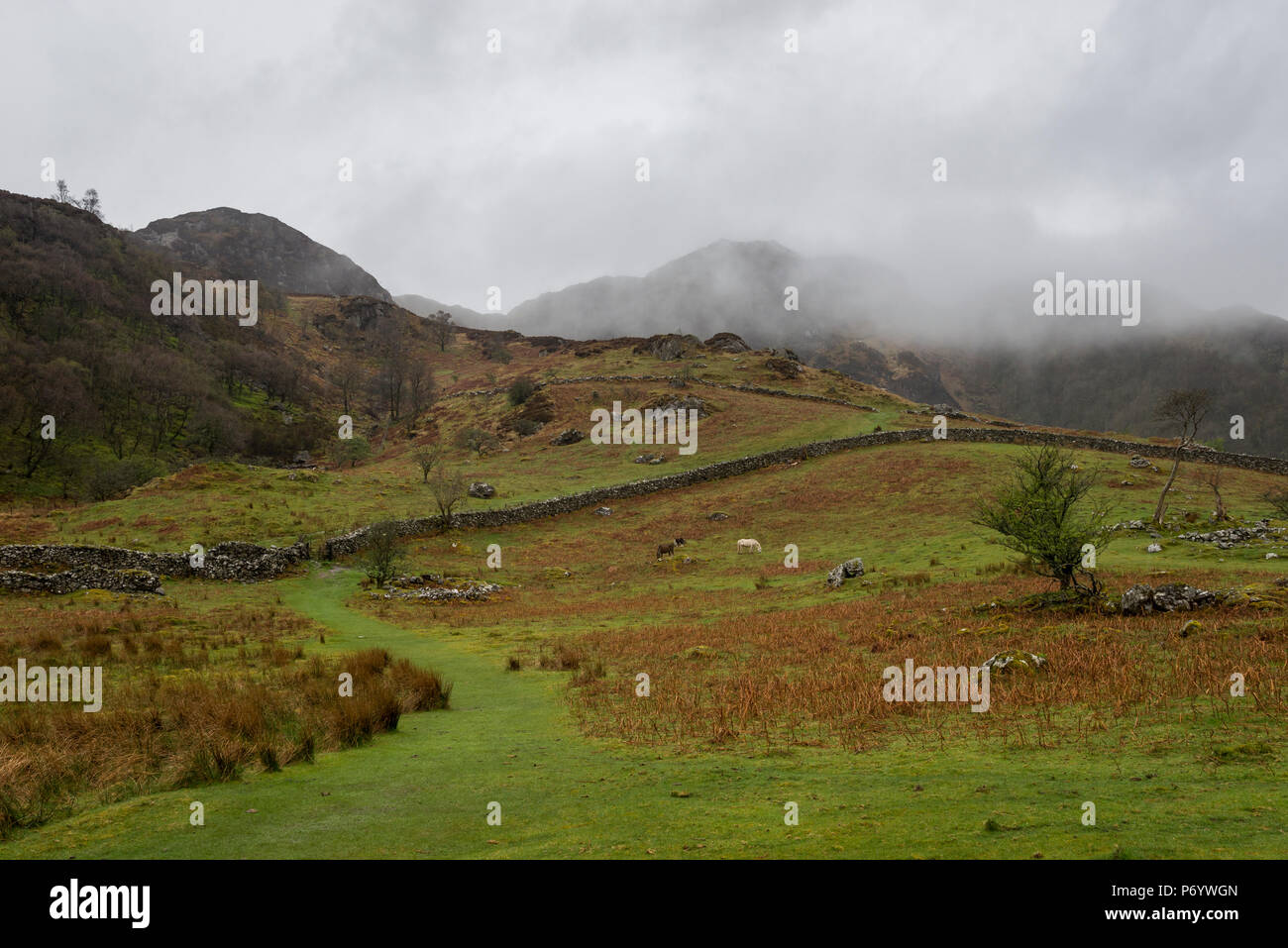 Rainy scenery hi-res stock photography and images - Alamy