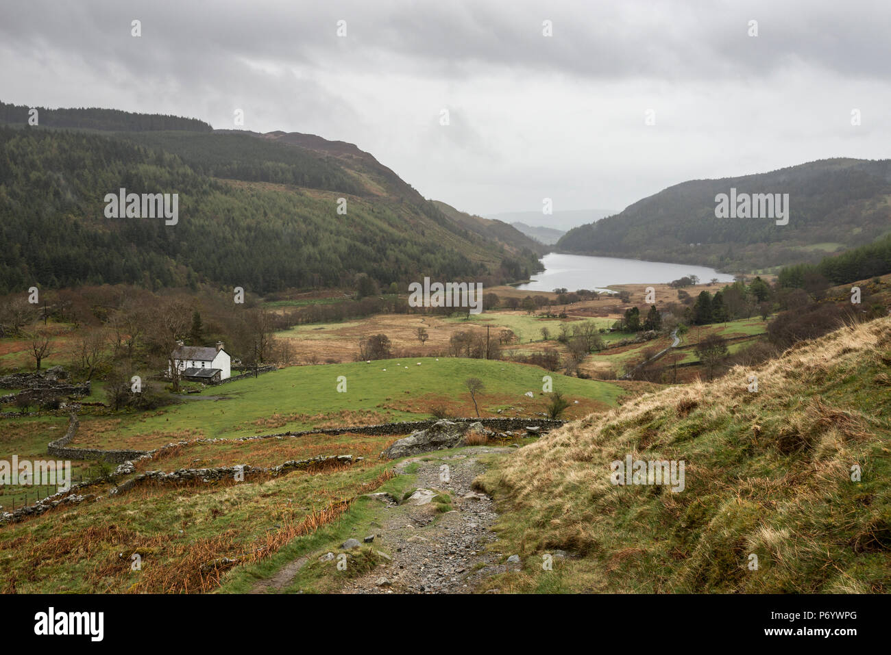 Llyn crafnant viewpoint hi-res stock photography and images - Alamy
