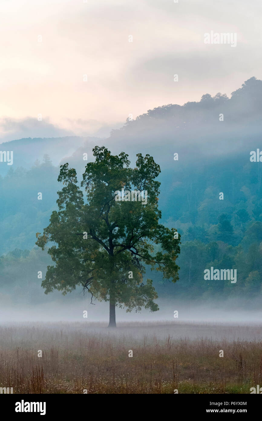 North carolina haywood county hi-res stock photography and images - Alamy