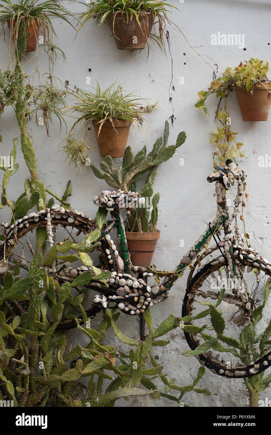 Shell covered bicycle Stock Photo - Alamy