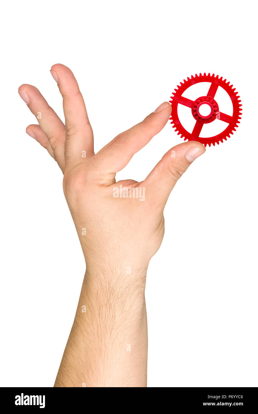 Hand holding cogwheel Stock Photo - Alamy