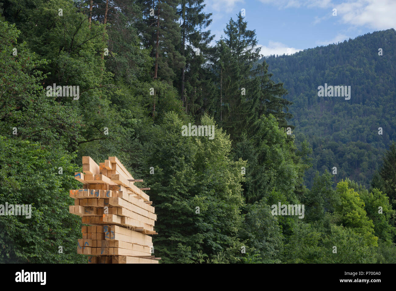 Sustainable timber hi-res stock photography and images - Alamy
