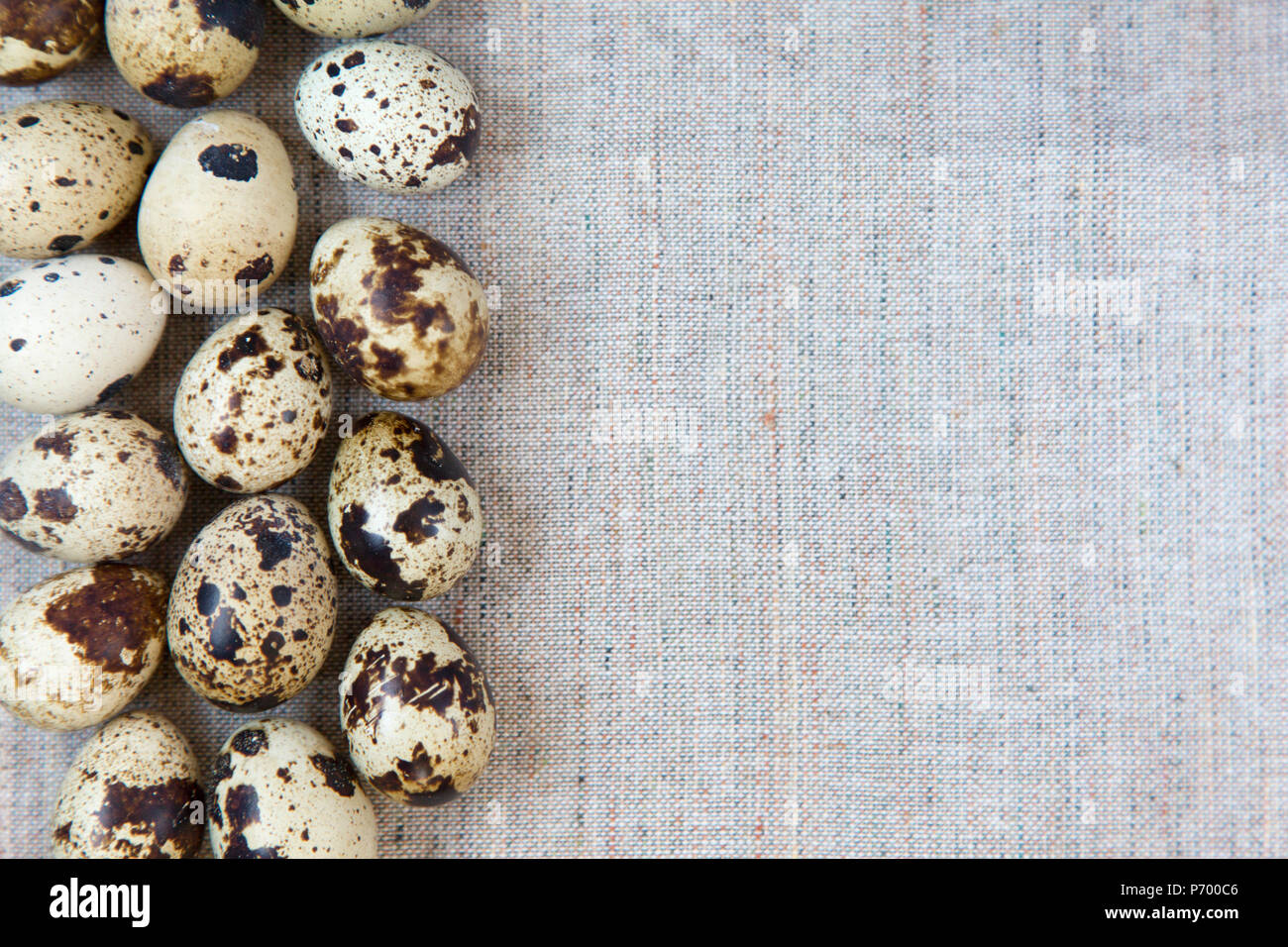 Top view mottled quail hi-res stock photography and images - Alamy