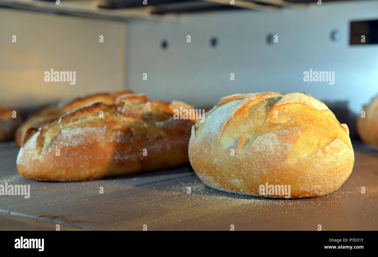 loaf of bread is baked in the oven Stock Photo - Alamy