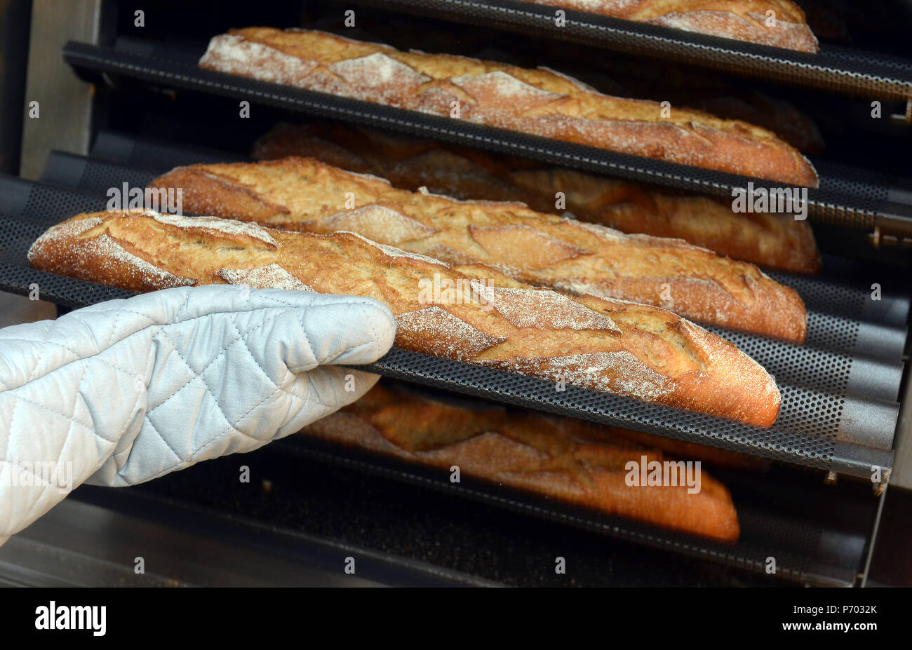 Modern oven bread baking hi-res stock photography and images - Alamy