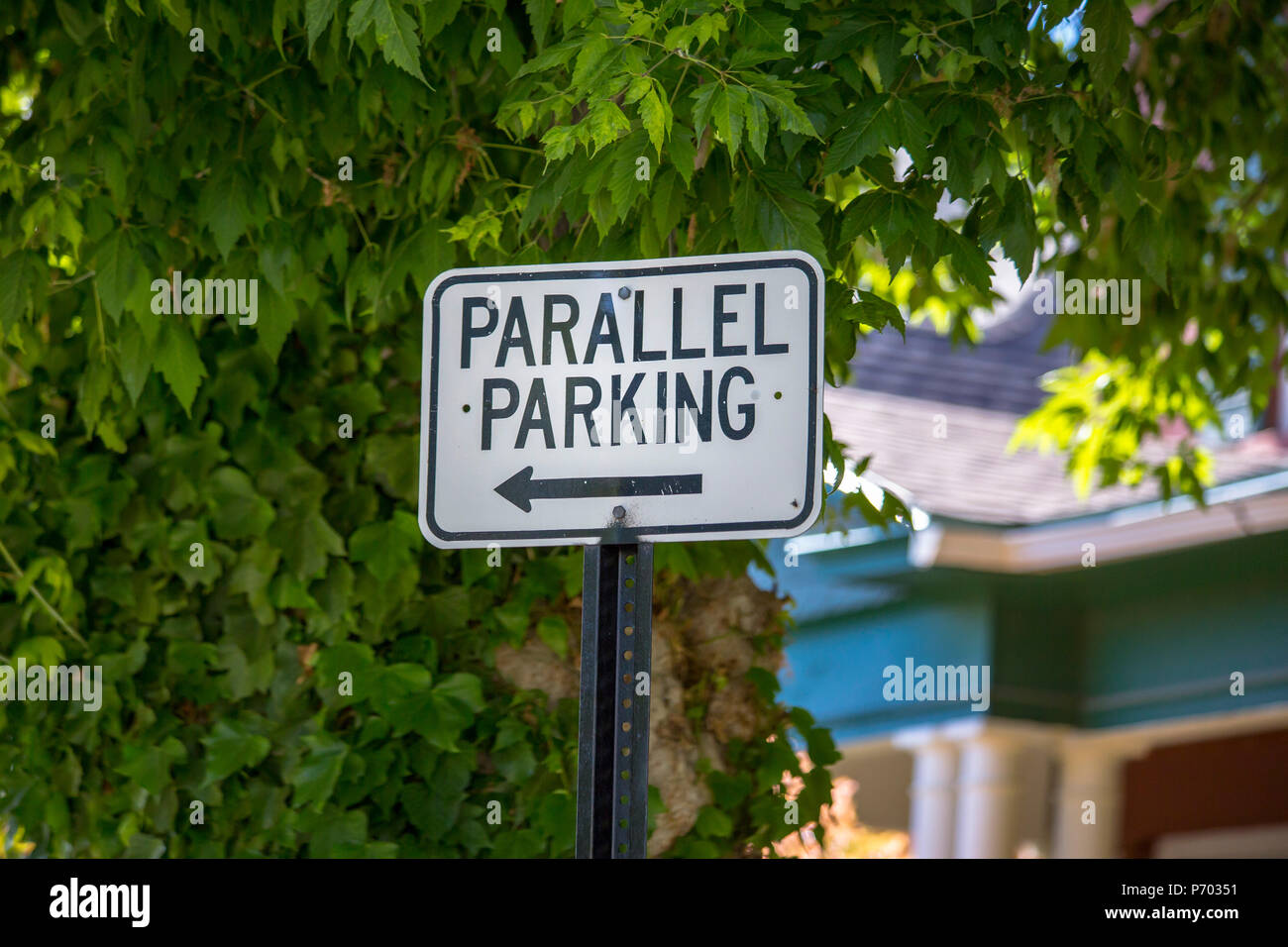 Parallel parking sign with tree Stock Photo - Alamy