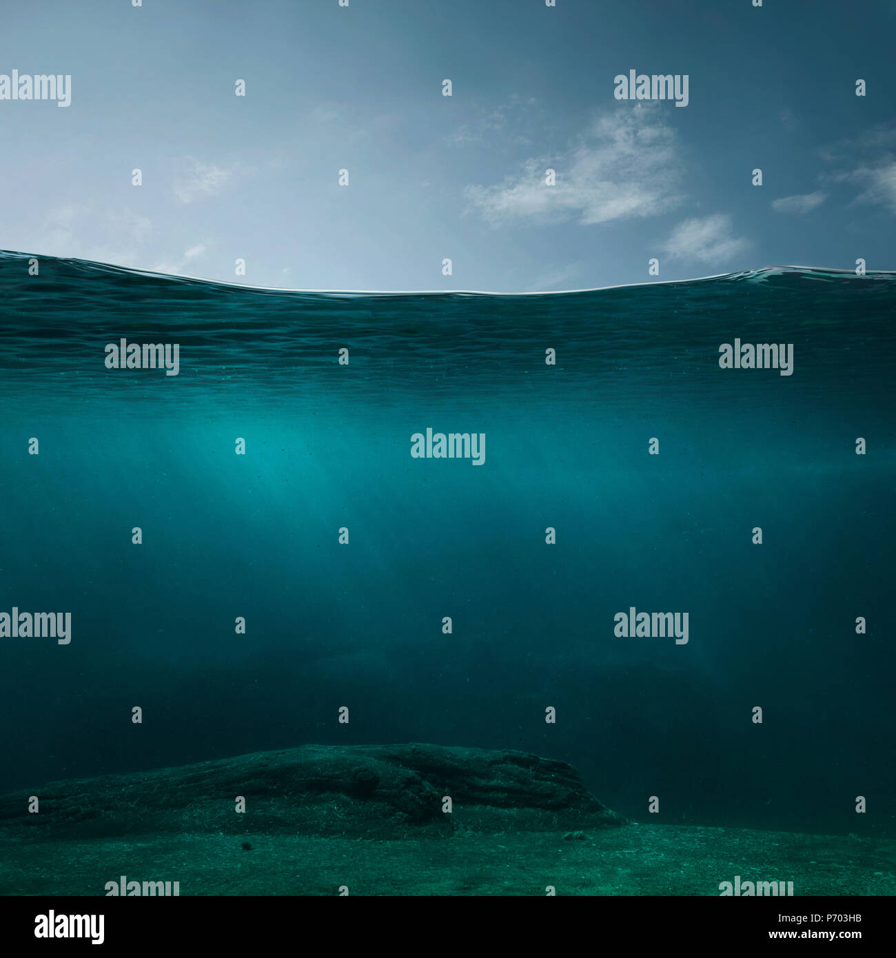 Empty fish tank hi-res stock photography and images - Alamy