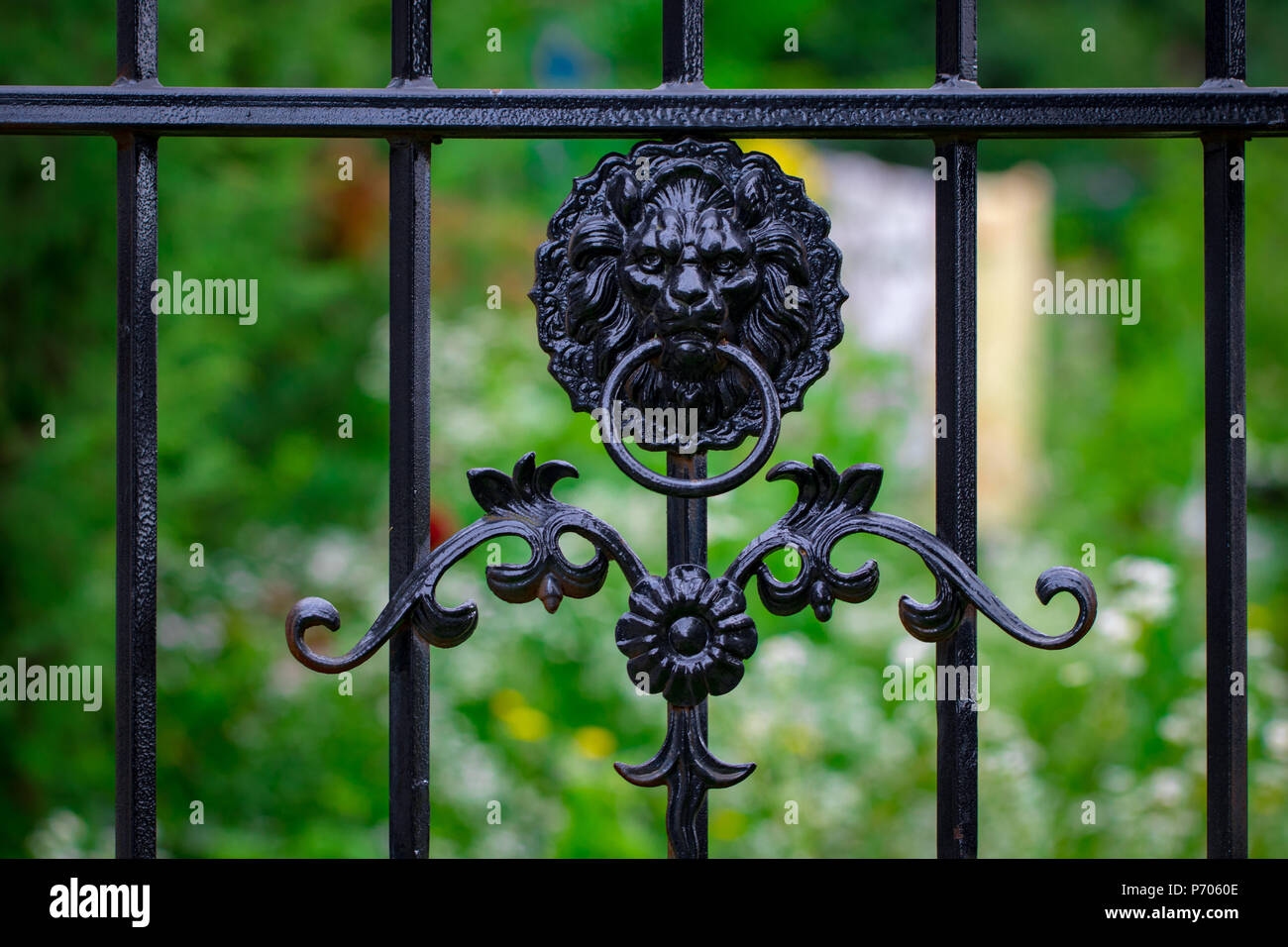 wrought-iron gates, ornamental forging, forged elements close-up Stock ...