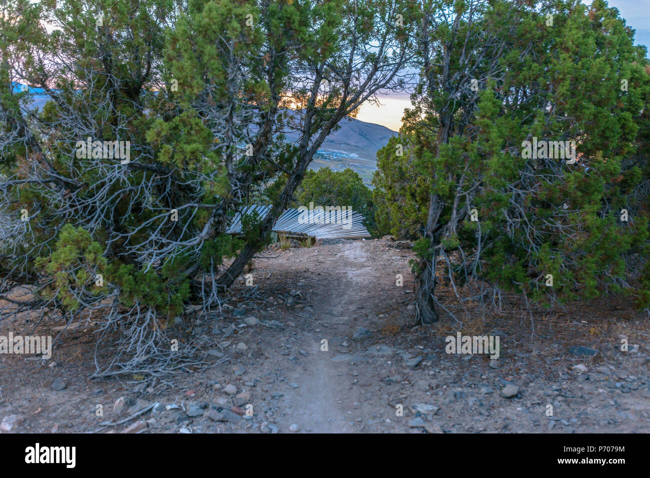 Trail leading to trials feature on hike Stock Photo - Alamy