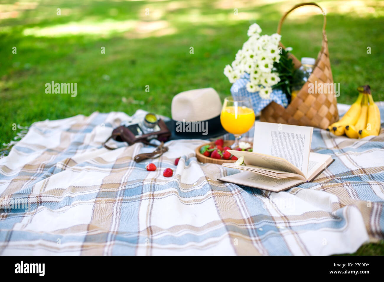 Happy sunny day at a picnic in the park. Flowers, fruits, drinks, a ...