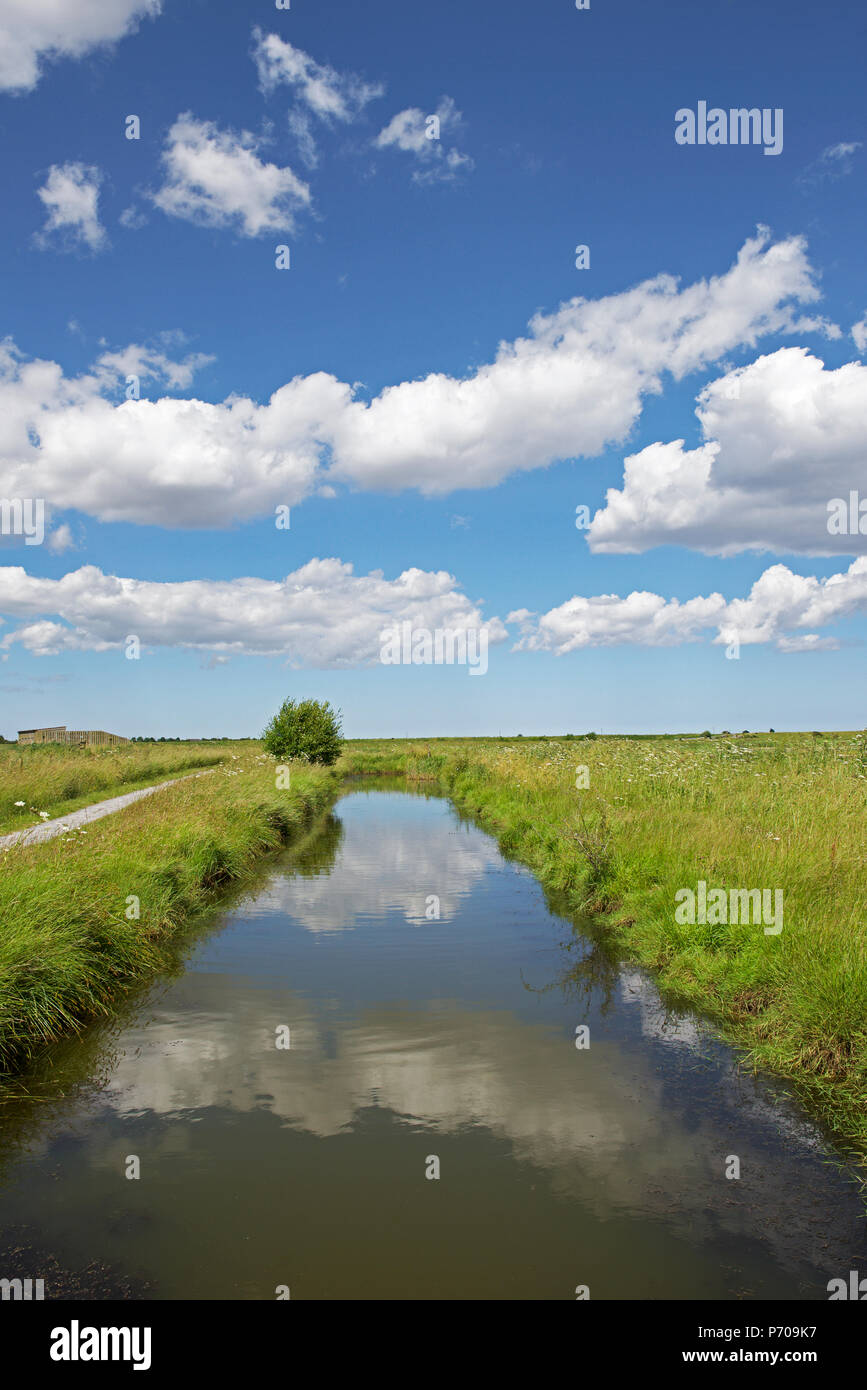Frampton Marsh, RSPB nature reserve, Lincolnshire,England UK Stock ...