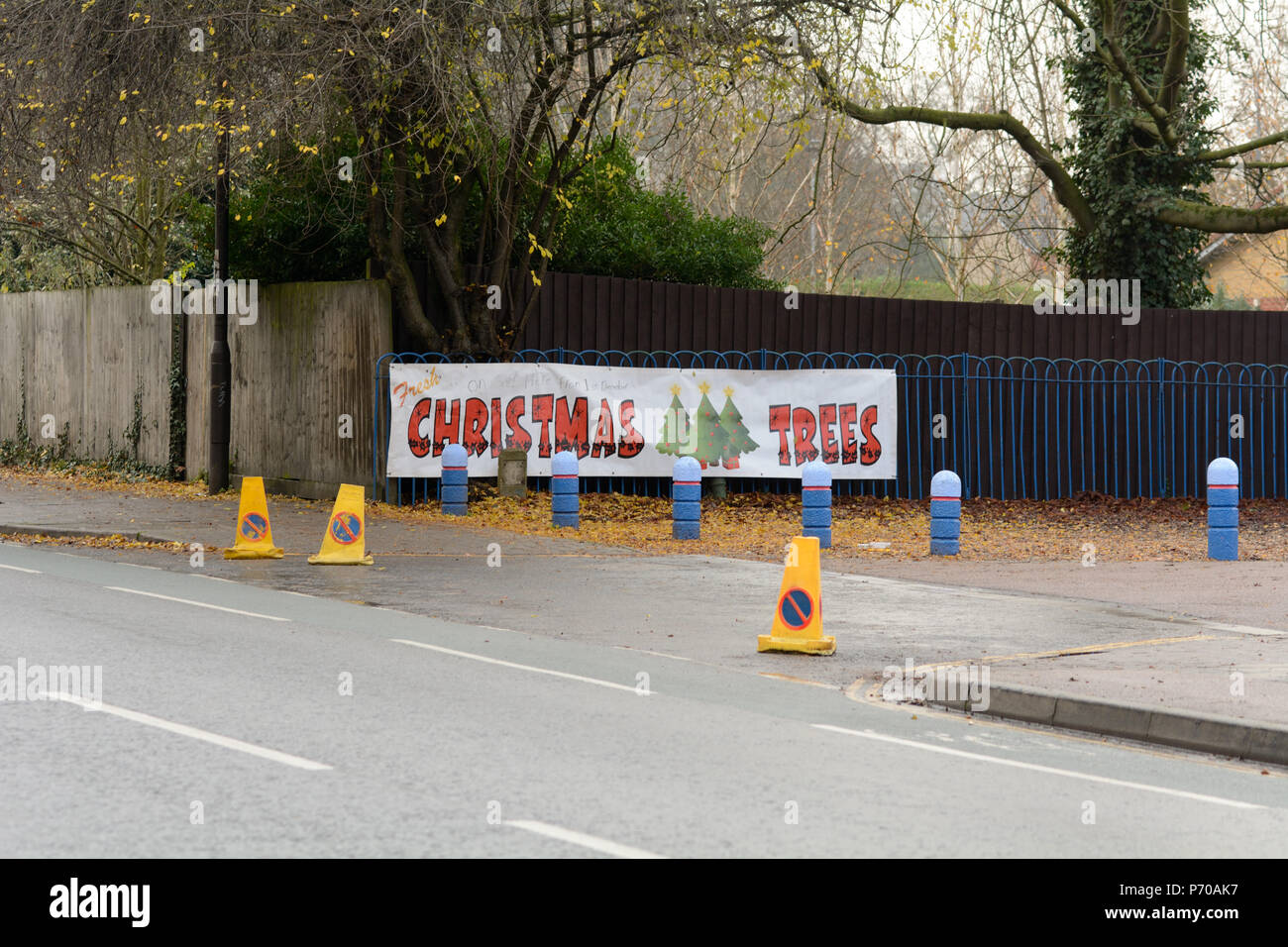 Christmas Trees for sale sign Stock Photo - Alamy
