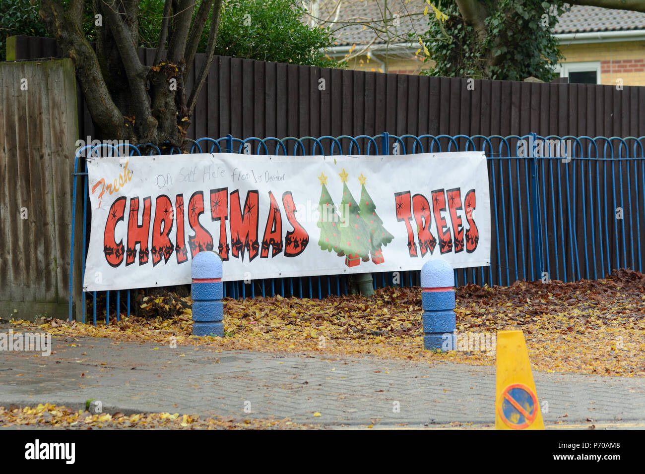 Christmas Trees for sale sign Stock Photo - Alamy