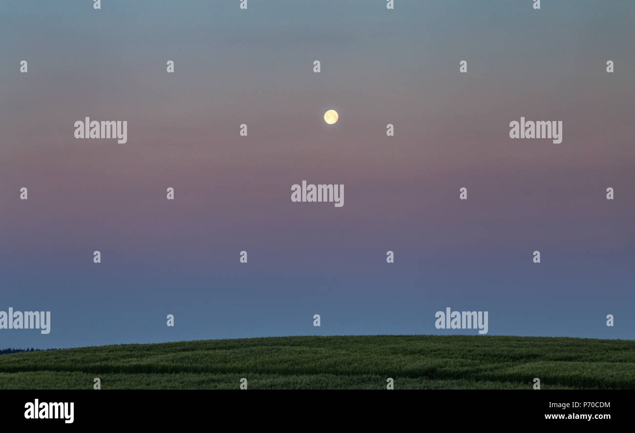 Wheat Field And Full Moon High Resolution Stock Photography and Images ...