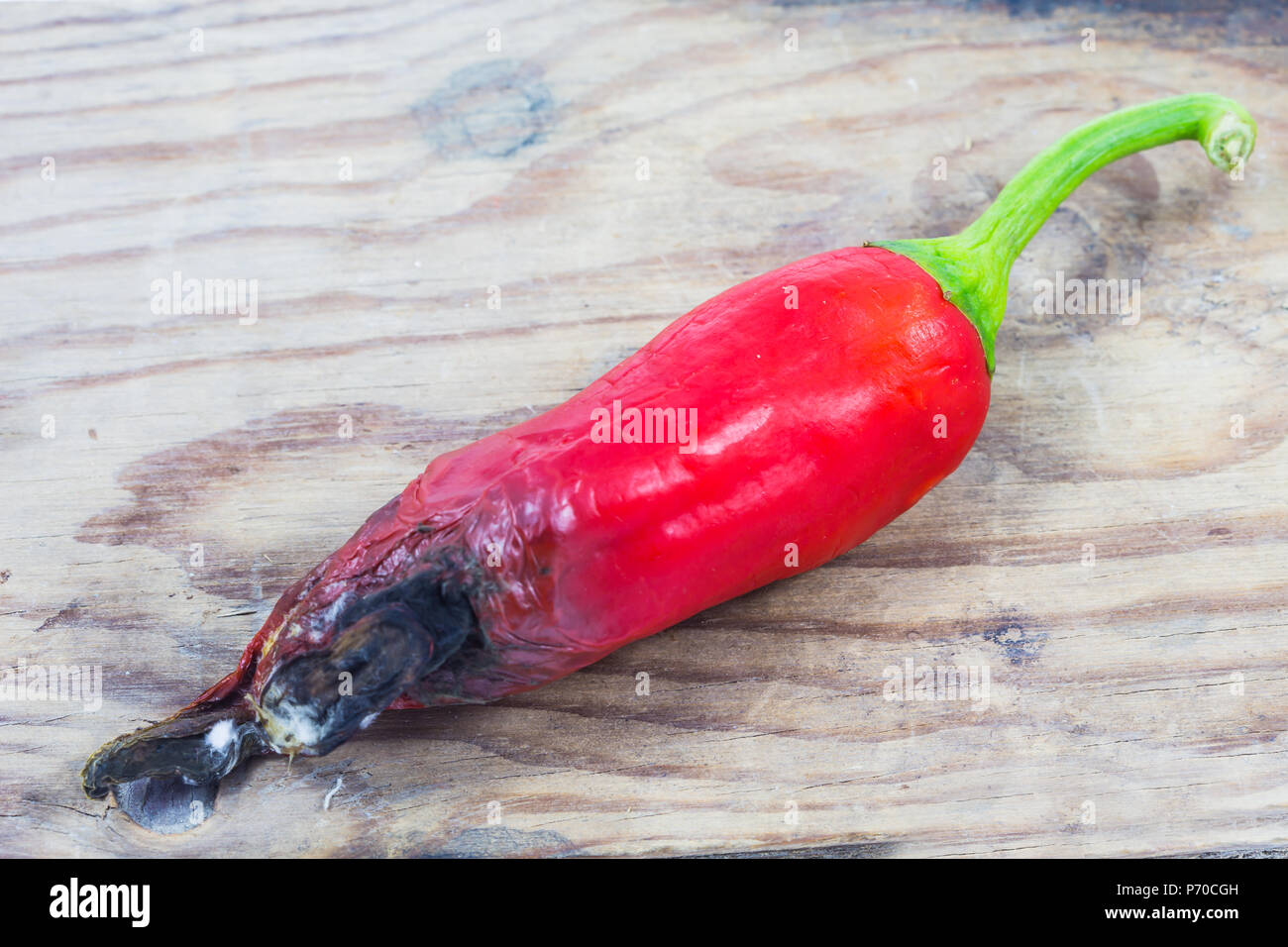 moldy of red chili pepper on wooden background / Rotten red chili ...