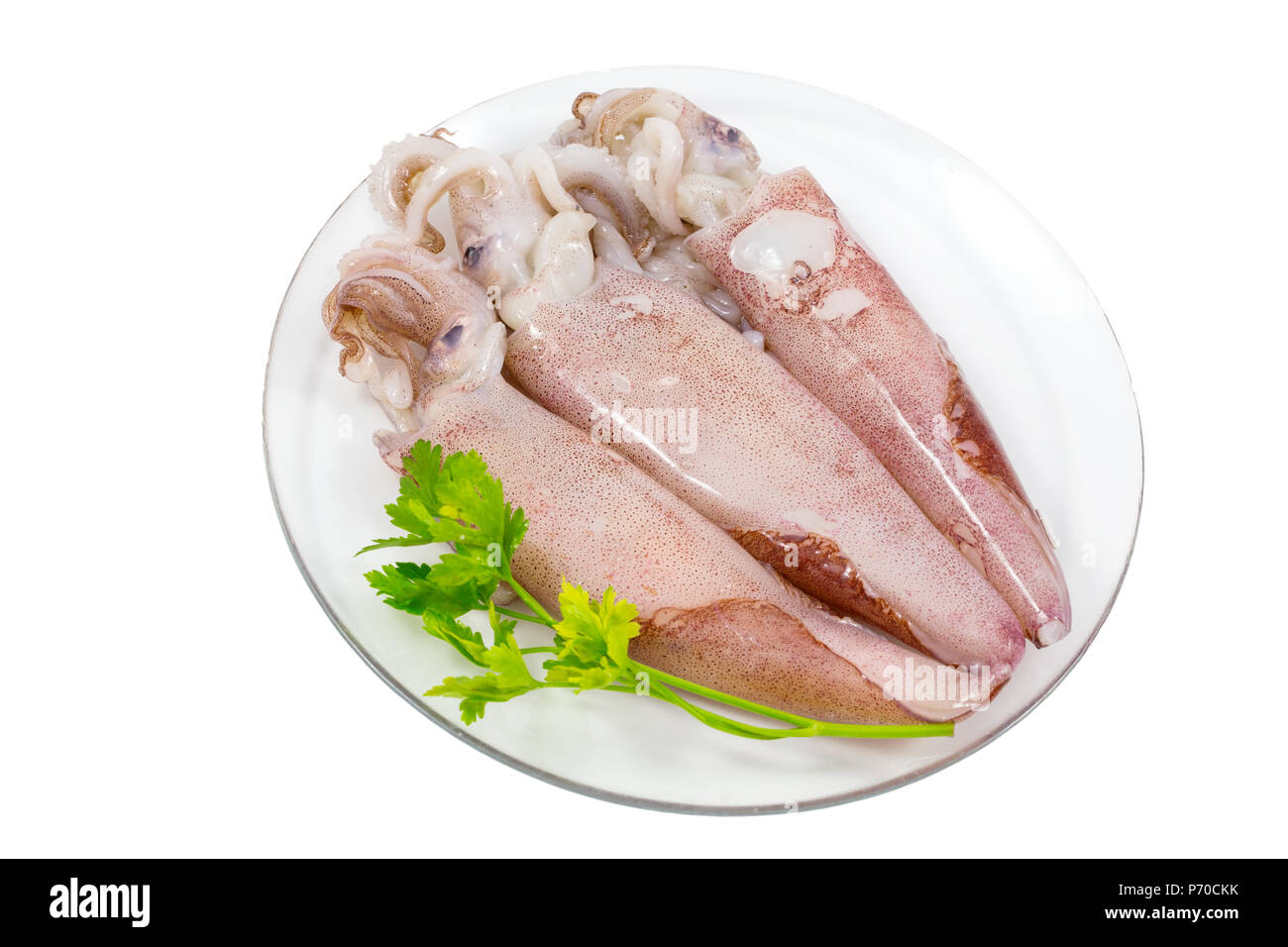 Fresh raw squids on plate in white background / Fresh Squid on white ...