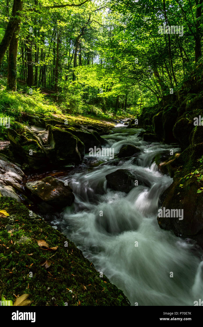 East Lyn River, North Devon, near Lynmouth, early summer Stock Photo ...