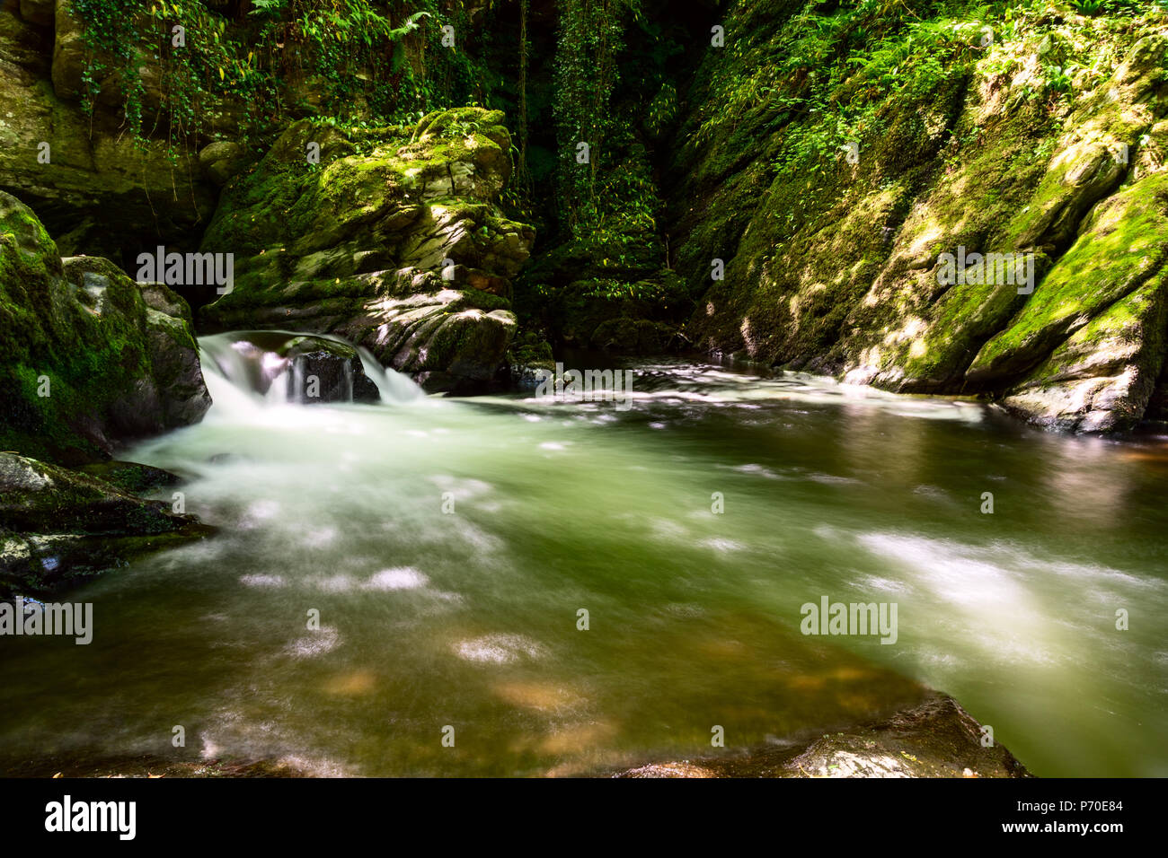 East Lyn River, North Devon, near Lynmouth, early summer Stock Photo ...