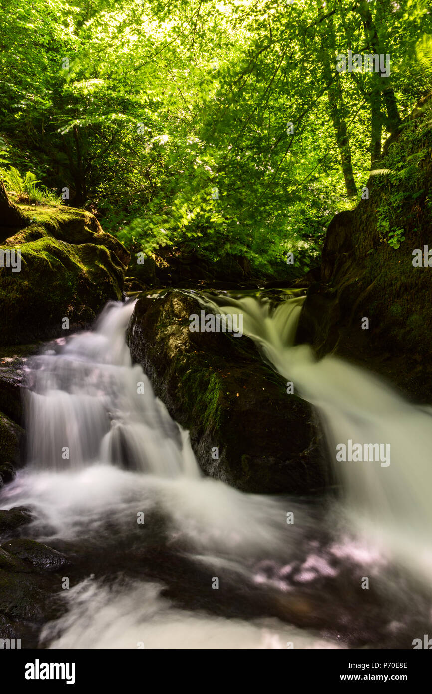 East Lyn River, North Devon, near Lynmouth, early summer Stock Photo ...