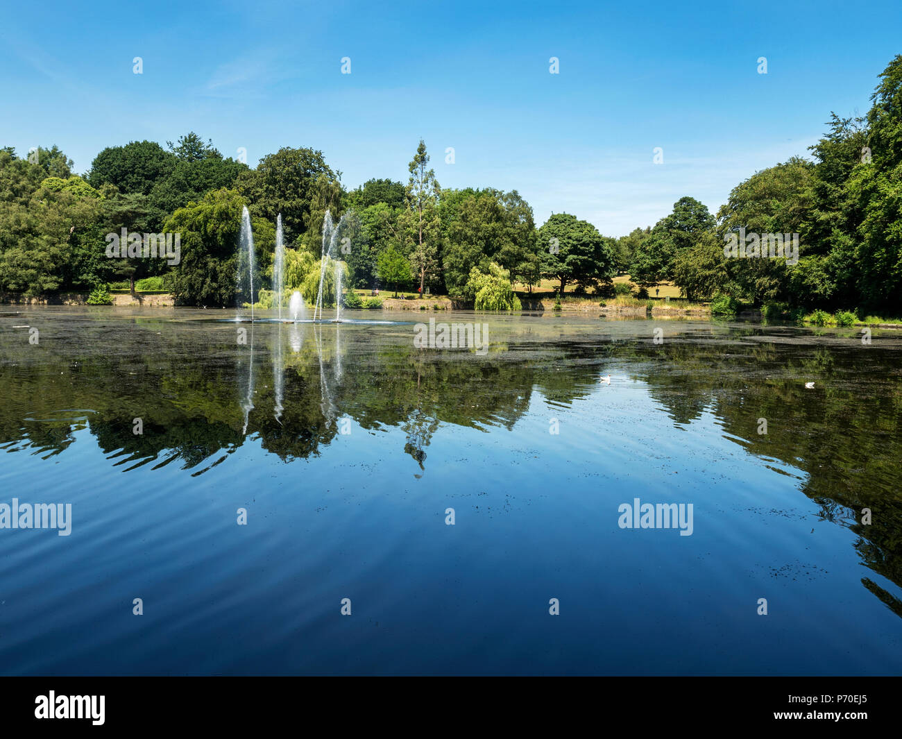 Roundhay park hi-res stock photography and images - Alamy