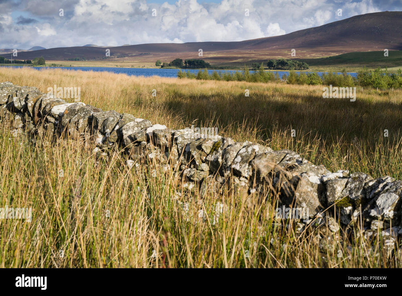 Drystane dyke hi-res stock photography and images - Alamy