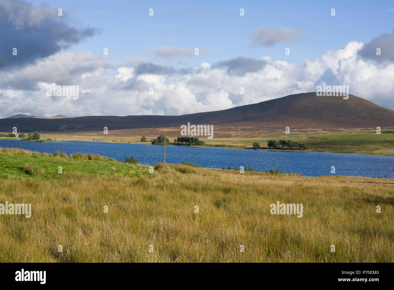 Harperrig reservoir scotland hi-res stock photography and images - Alamy