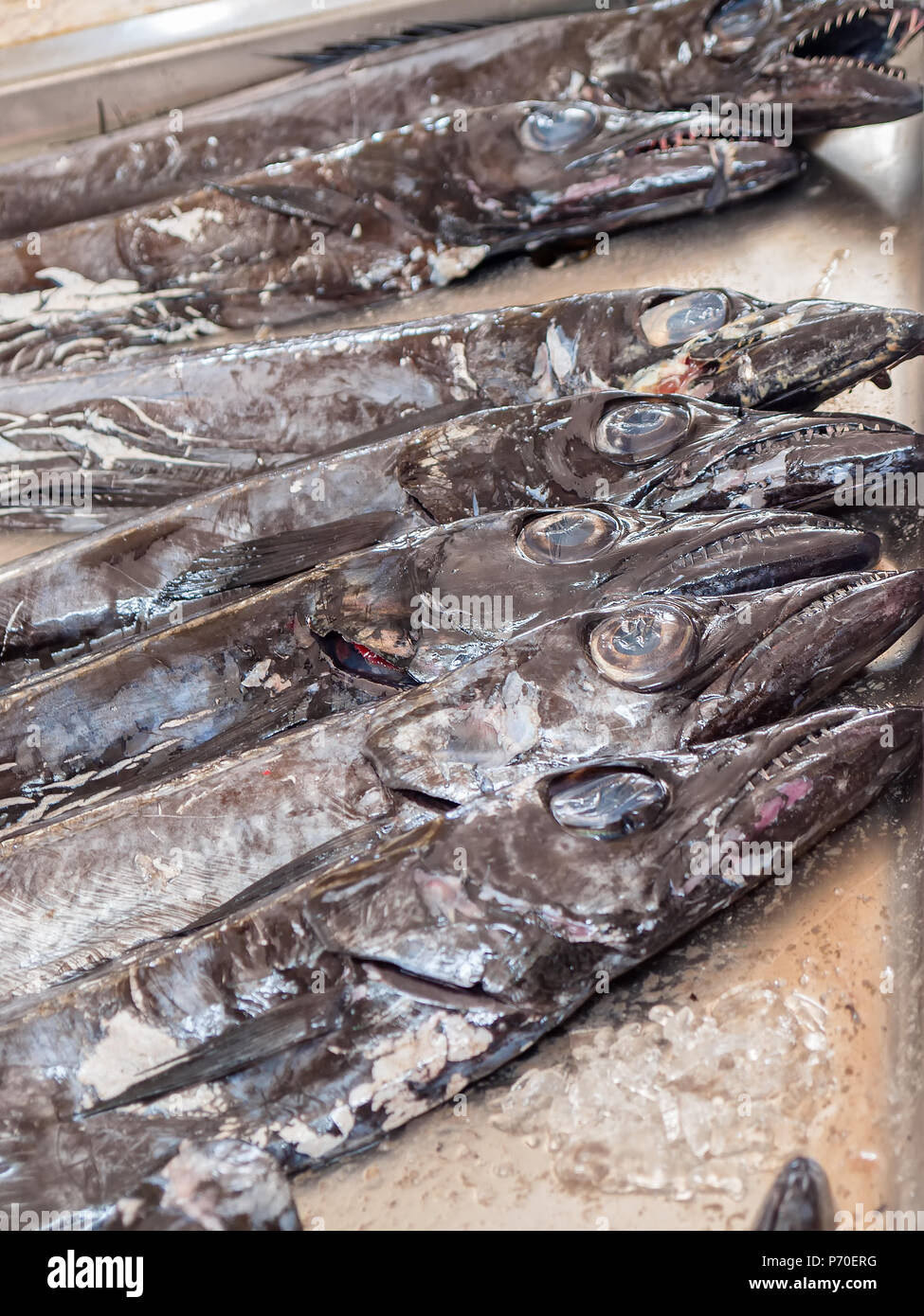 Fish market in Funchal, Madeira Stock Photo - Alamy