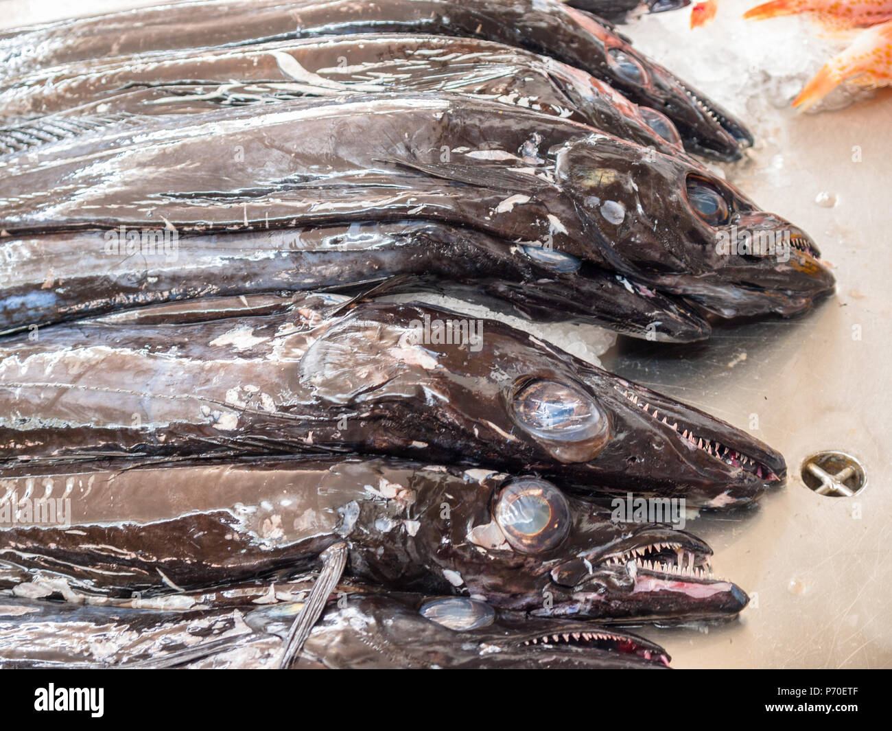 Fish market in funchal hi-res stock photography and images - Alamy