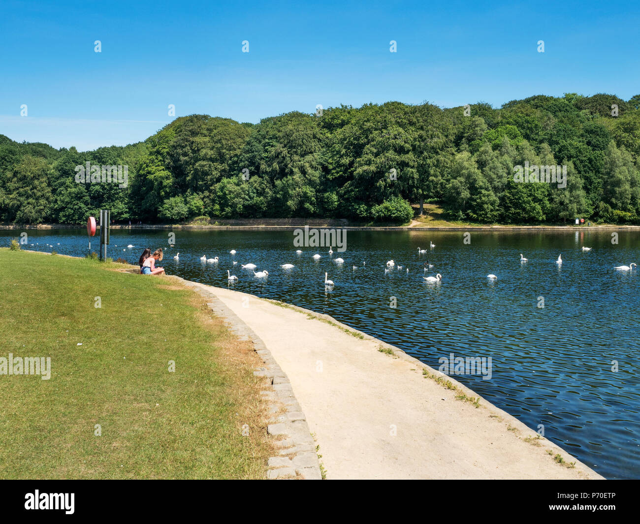 Roundhay park gardens hi-res stock photography and images - Alamy