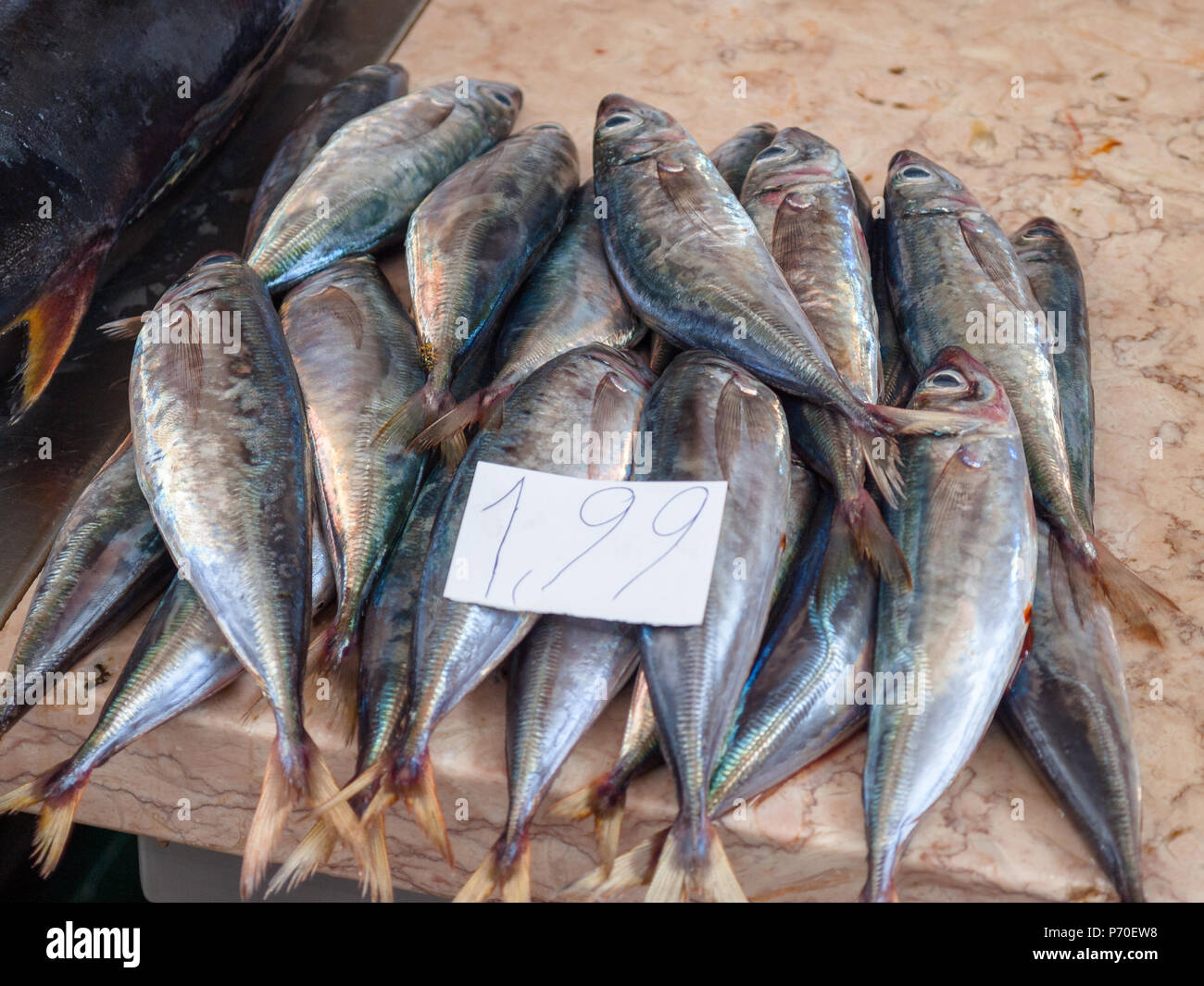 Fish market in Funchal, Madeira Stock Photo - Alamy