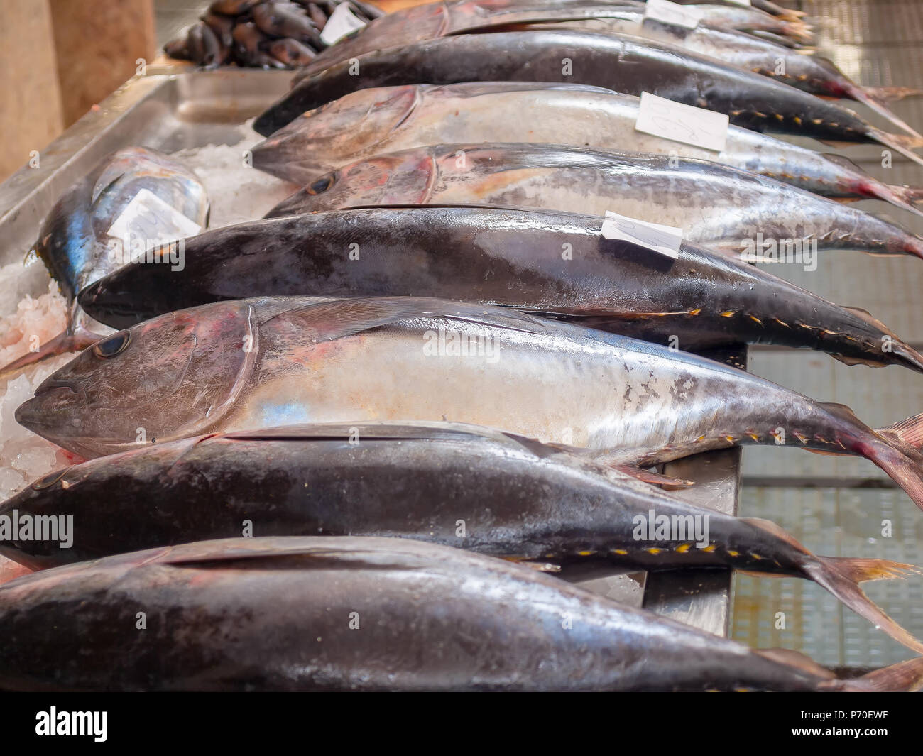 Fish market in Funchal, Madeira Stock Photo - Alamy