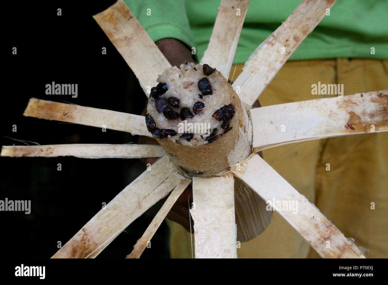 Sweet sticky rice cooked with black beans in bamboo as a road side ...