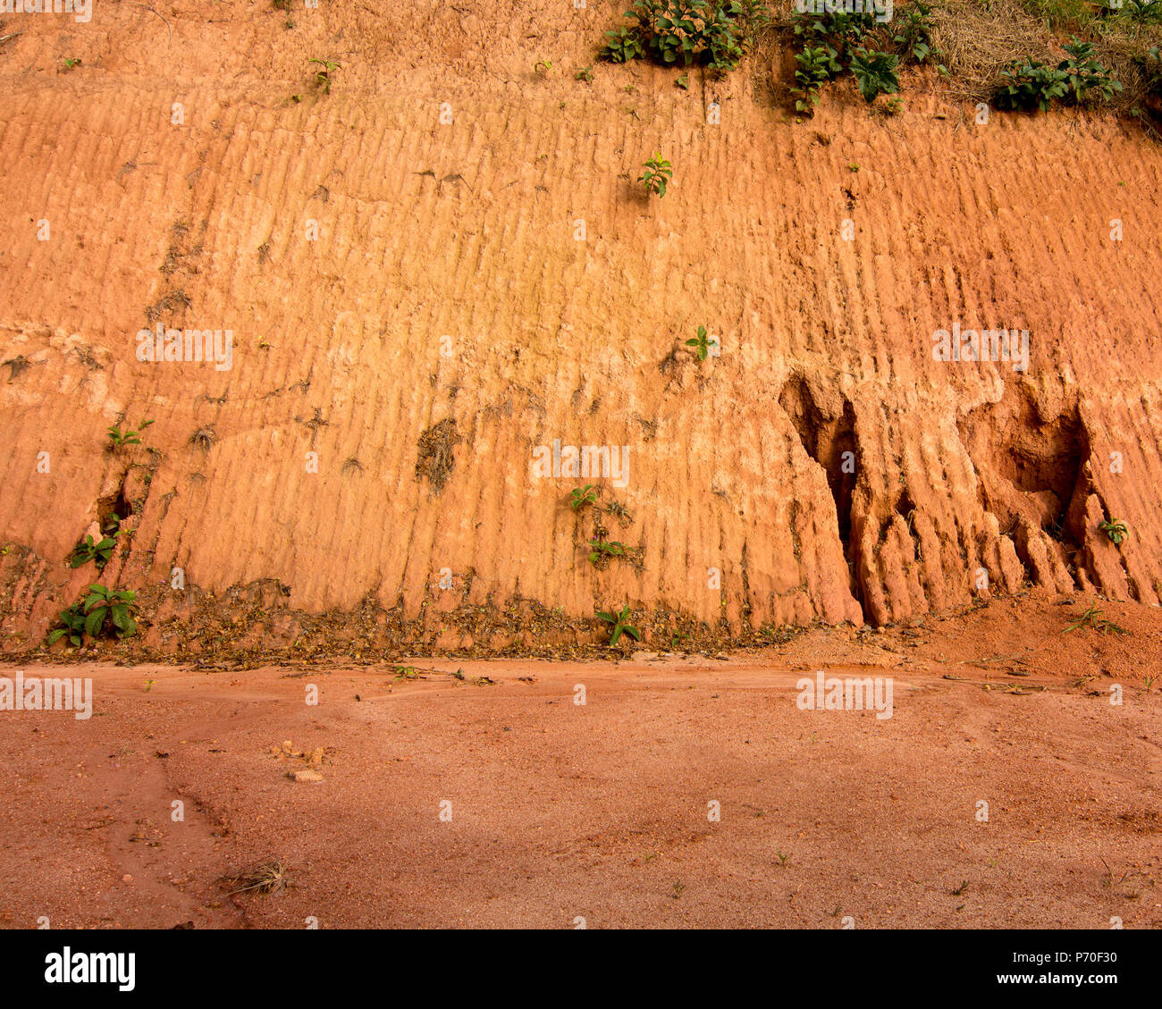 Erosion on the side of a dirt road in Petropolis, Brazil, as the result ...