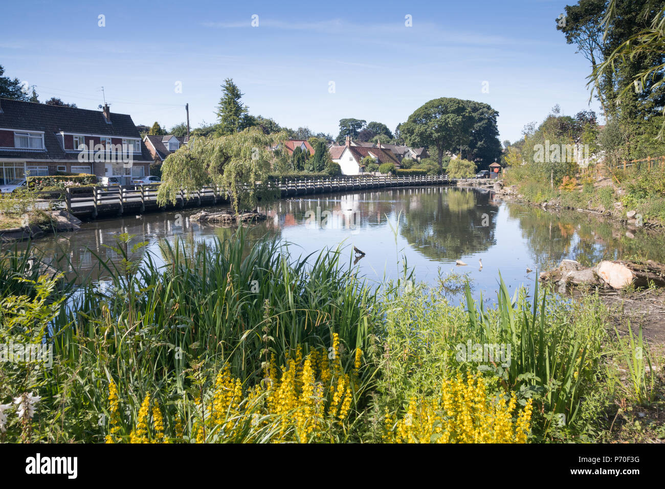 Walkington yorkshire hi-res stock photography and images - Alamy